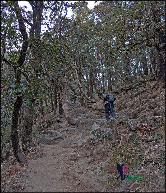 Khaliya Top Trek: A Complete Travel Guide to an Unexpected Himalayan ...